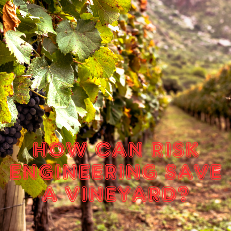 Energy Risk Engineering takes on Vineyard Pests – Energy Risk ...