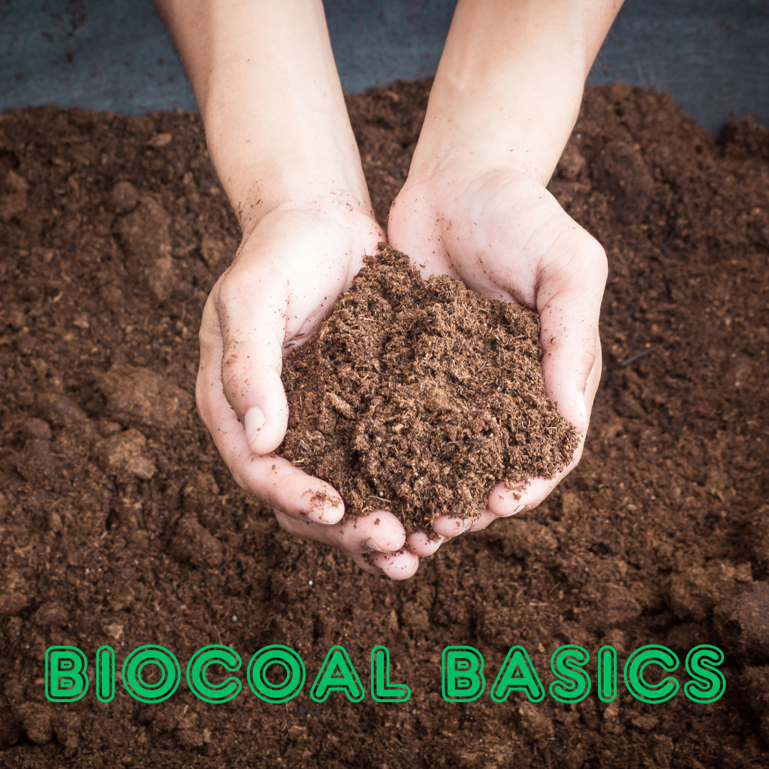 BioCoal Basics for Energy Engineers – Energy Risk Engineering Insights